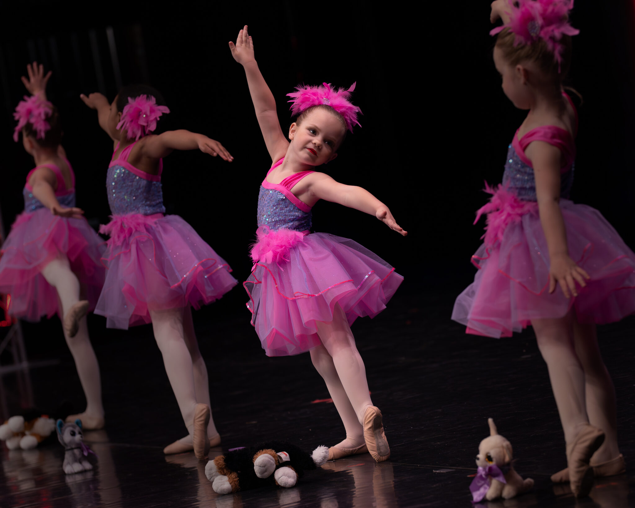 Home - Danceallianceofsaline.com